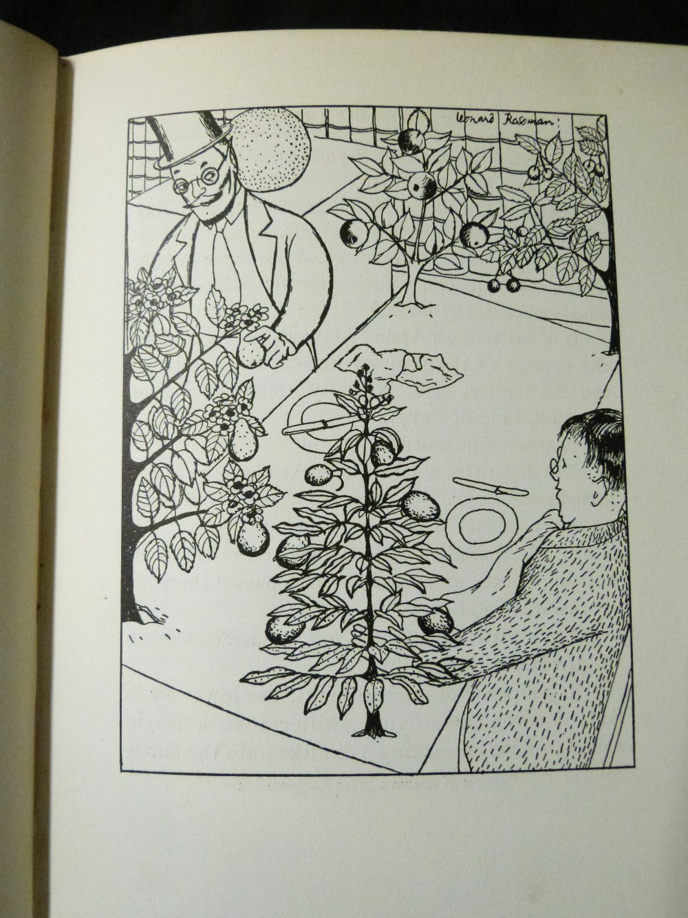 JOHN BURDON SANDERSON HALDANE: MY FRIEND MR LEAKEY, ill Leonard Rosoman ...