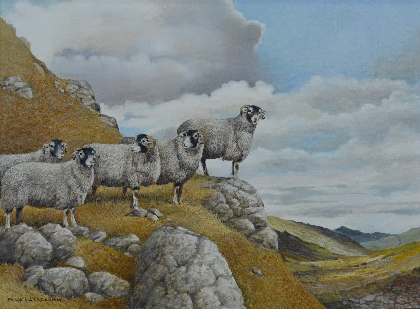 Patrick Oxenham (1922-1996) oil on canvas Swaledale sheep with valley ...