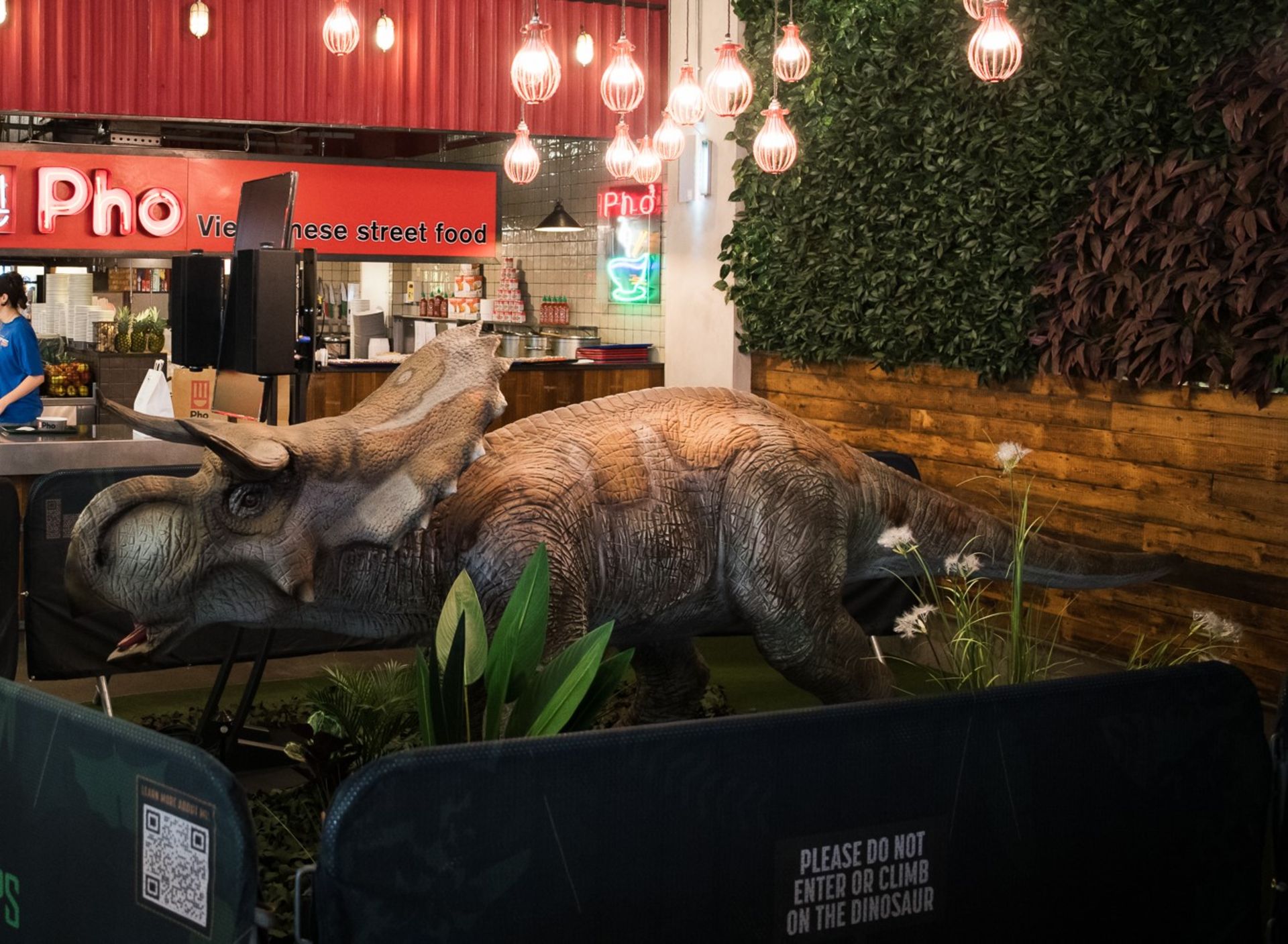 Animatronic Nasutoceratops by Only Dinosaurs, 4.6m long, 1.1m wide, 1 ...