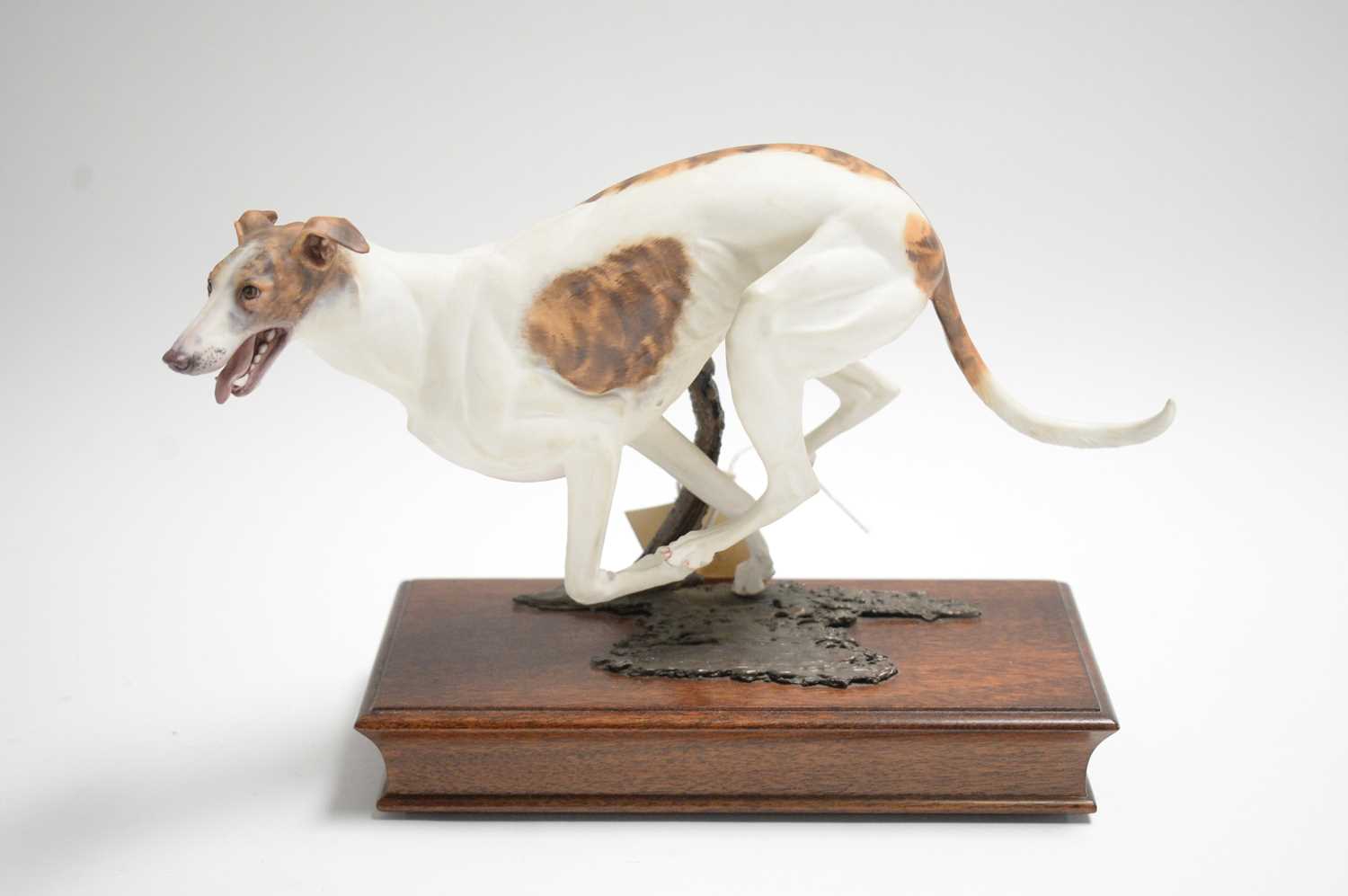 An Albany Fine China ‘Greyhound’ figure, modelled by Neil Campbell ...