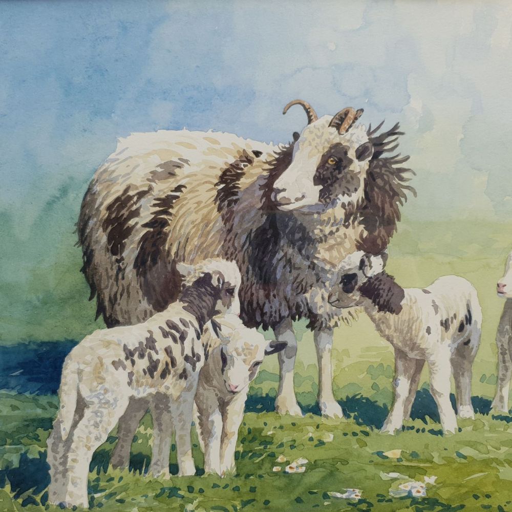David Duggleby Auctioneers & Valuers | the saleroom auctions
