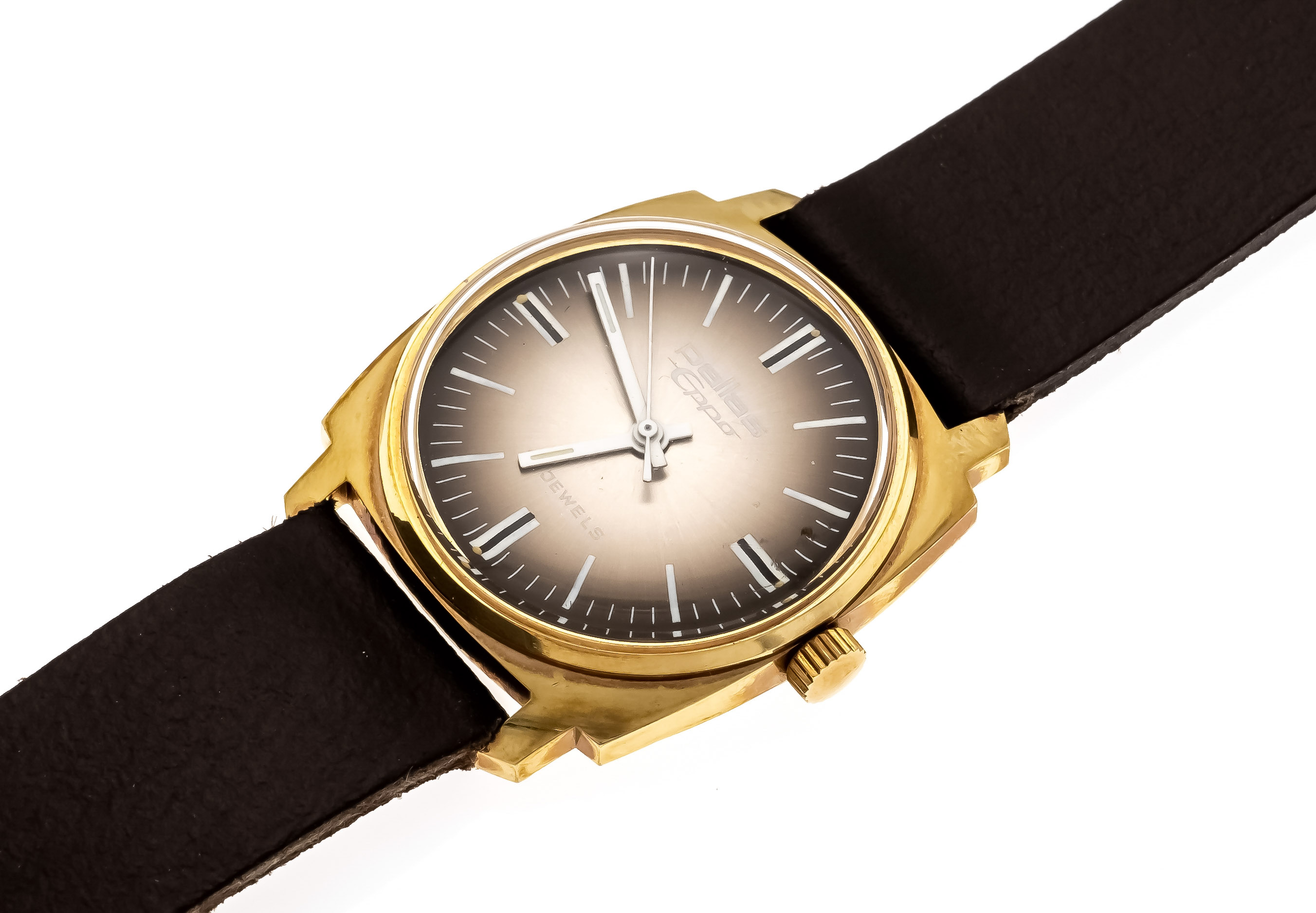 Pallas Eppo men's watch NOS dbl. Case with screwed back, brown metallic ...