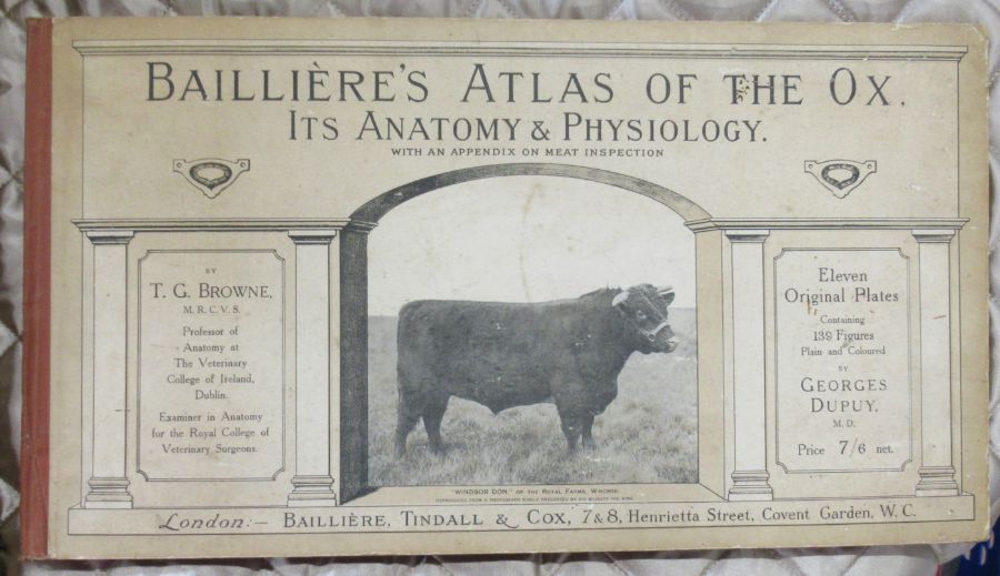 Bailliere's Atlas of the Ox, its Anatomy & Physiology, by T. G. Browne