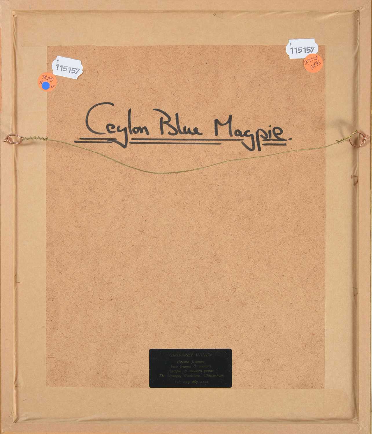 David Morrison Reid Henry (1919-1977)Ceylon Blue MagpieSigned, gouache ...