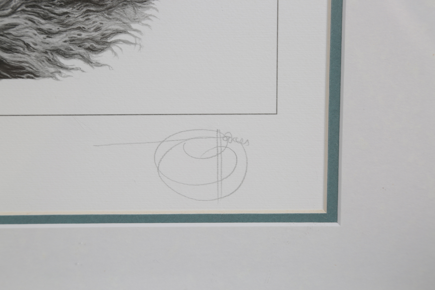 Gary Hodges - 'Snow Leopard' , 20th century monochrome print, signed ...