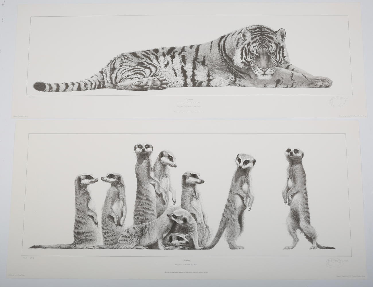 Gary Hodges - 'Soulmates' (Snow Leopards), 20th century monochrome ...