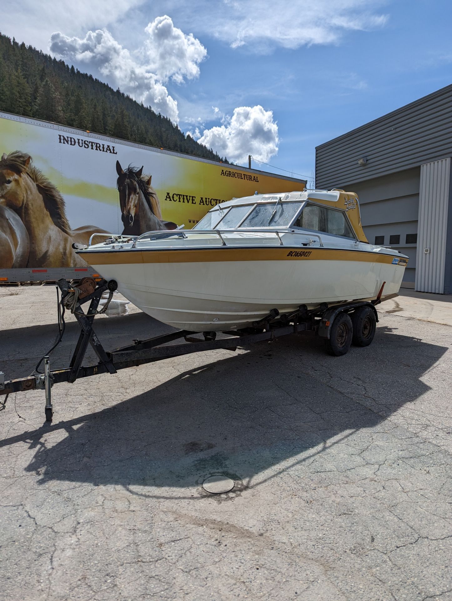 Sangster Boat with 4.3 Mercruiser Motor, Includes Trailer - Note ...