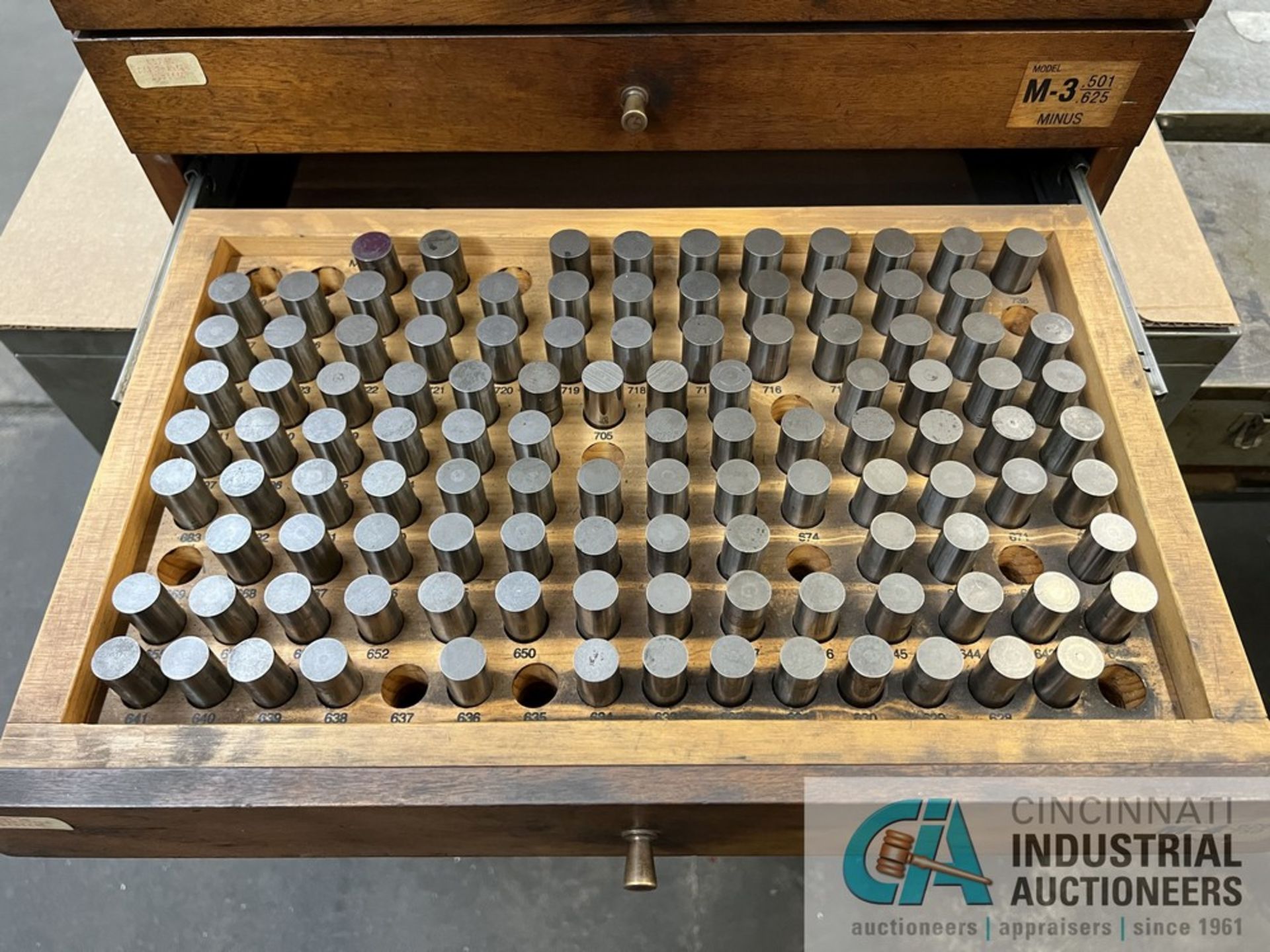 ASSORTMENT OF GAGE PINS .061-.750