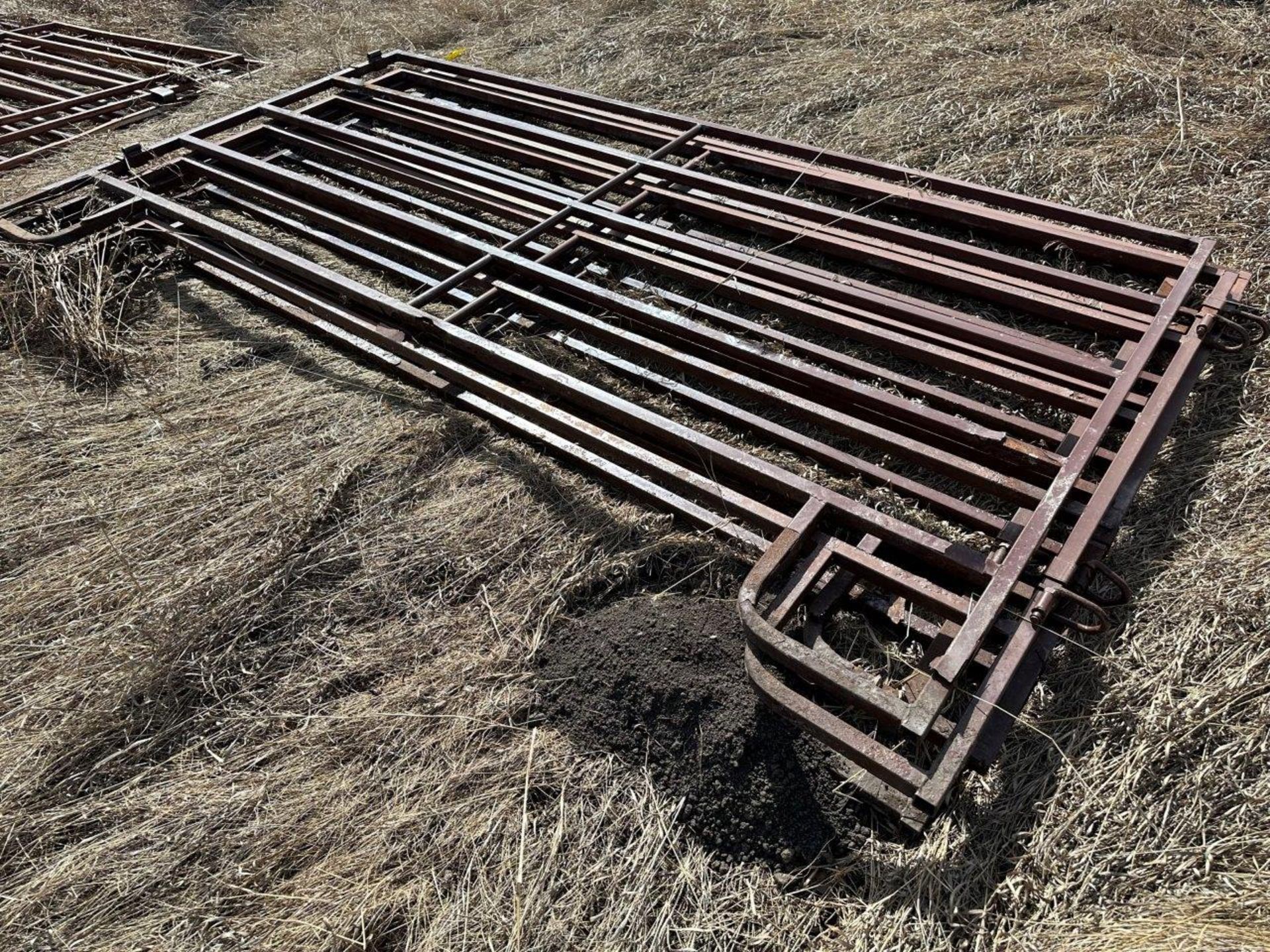 5 - HI-QUAL STEEL LIVESTOCK PANELS 5 FT X 10 FT (CONDITION VARIES)