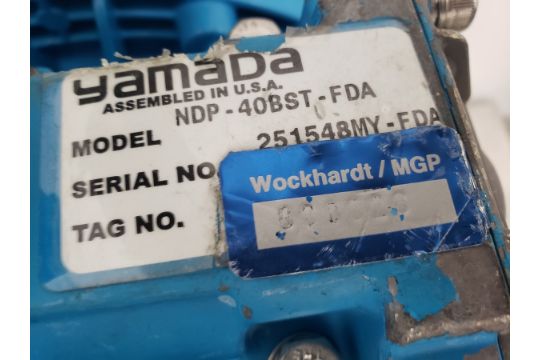Yamada 2" Diaphragm Pump, M# NDP-40BST-FDA | Required Rigging and ...