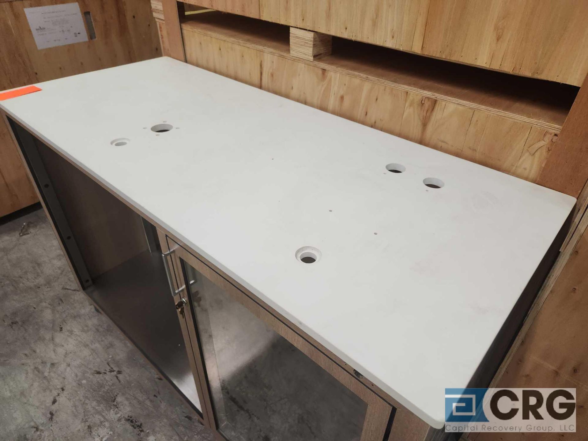 Lot of (2) Ramler 67 X 28 X 43 custom welded stainless steel framed ...