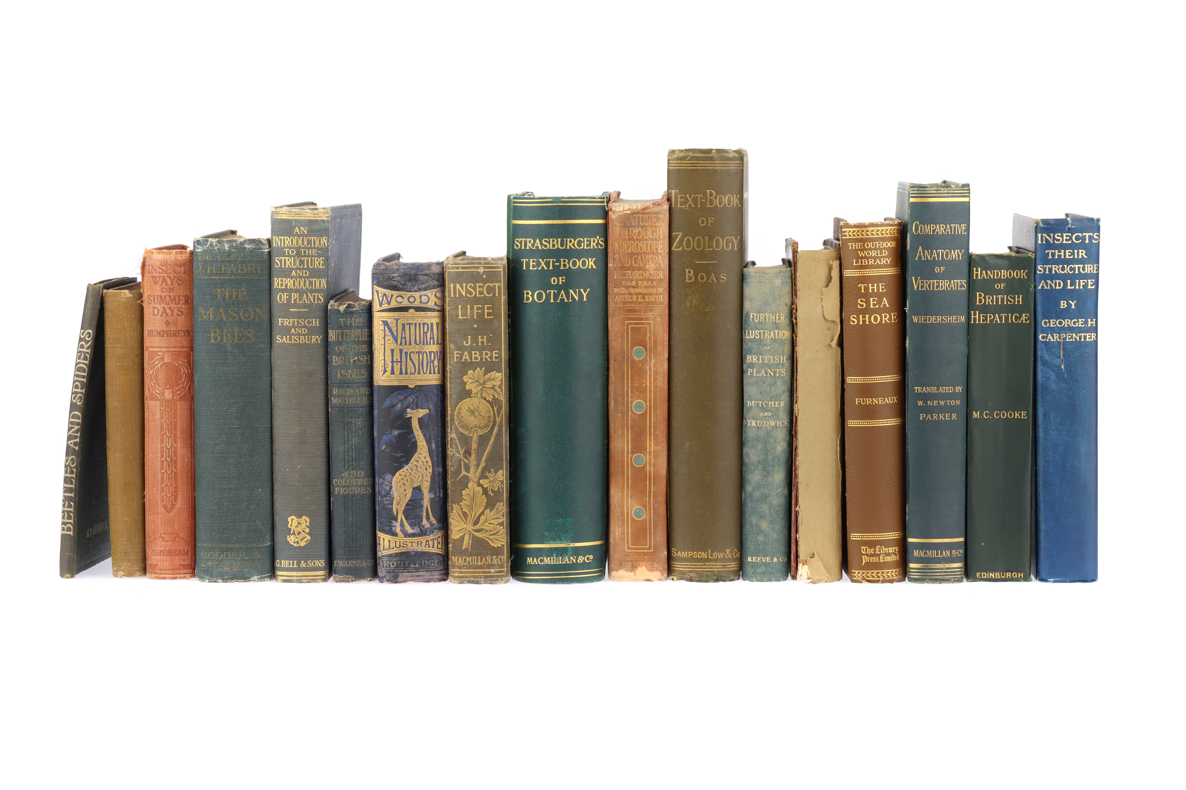 Collection of Natural History Related Books, including: Nature through ...