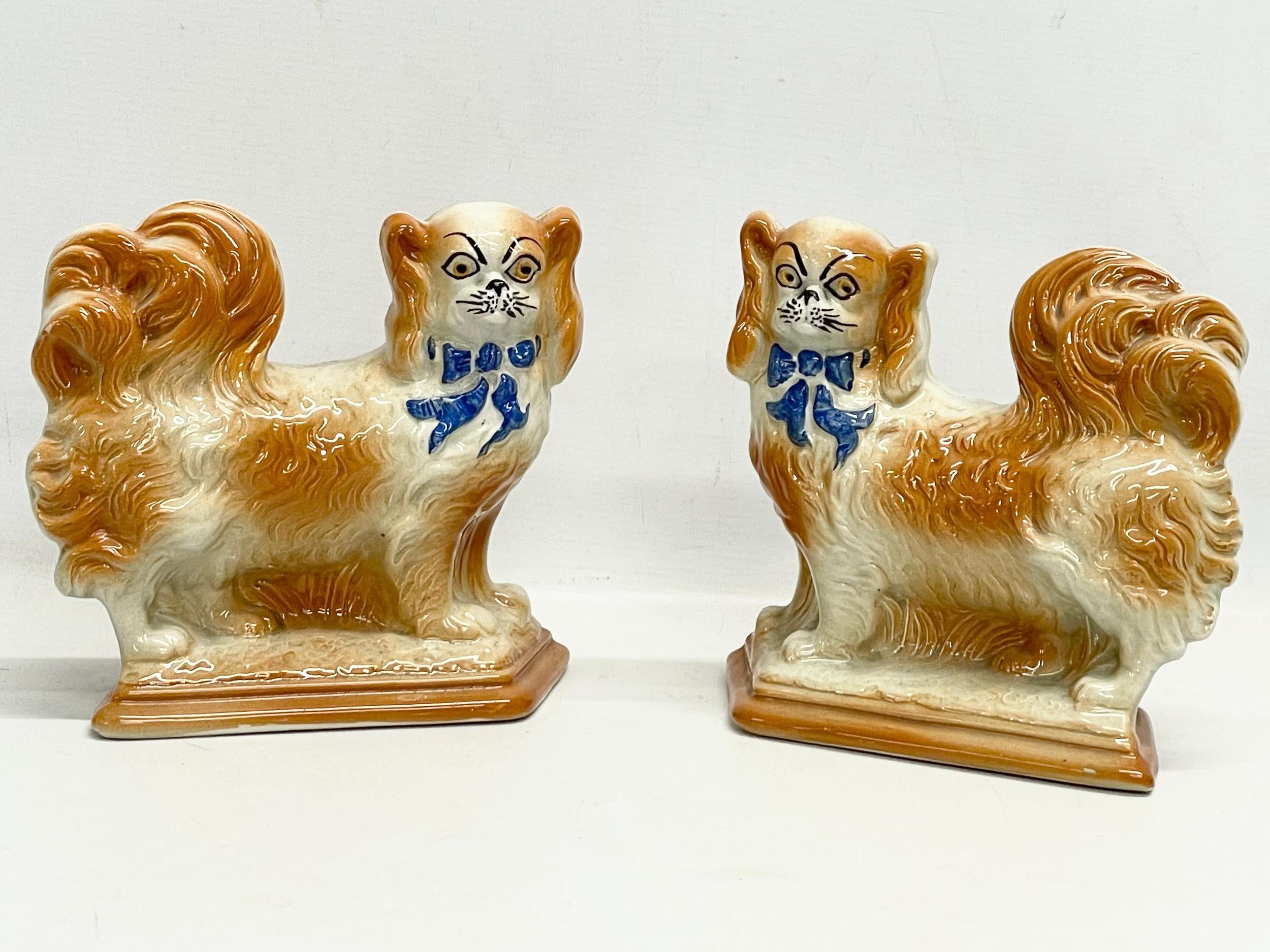 A pair of early 20th century Staffordshire pottery dogs. 21x19cm