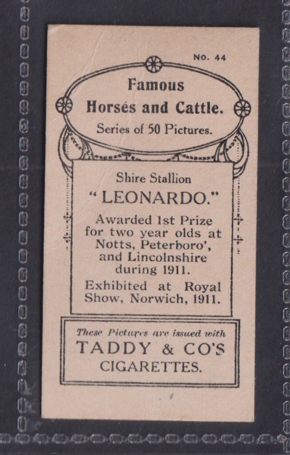 Cigarette card, Taddy, Famous Horses & Cattle, type card, no 44, Shire ...