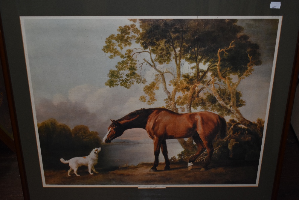 George Stubbs, (19th century), a 20th century re-print, Bay Horse and ...