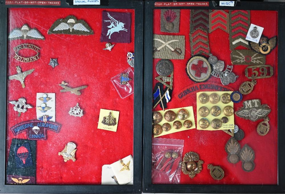 Five perspex display cases of approx 250 British military cap badges ...