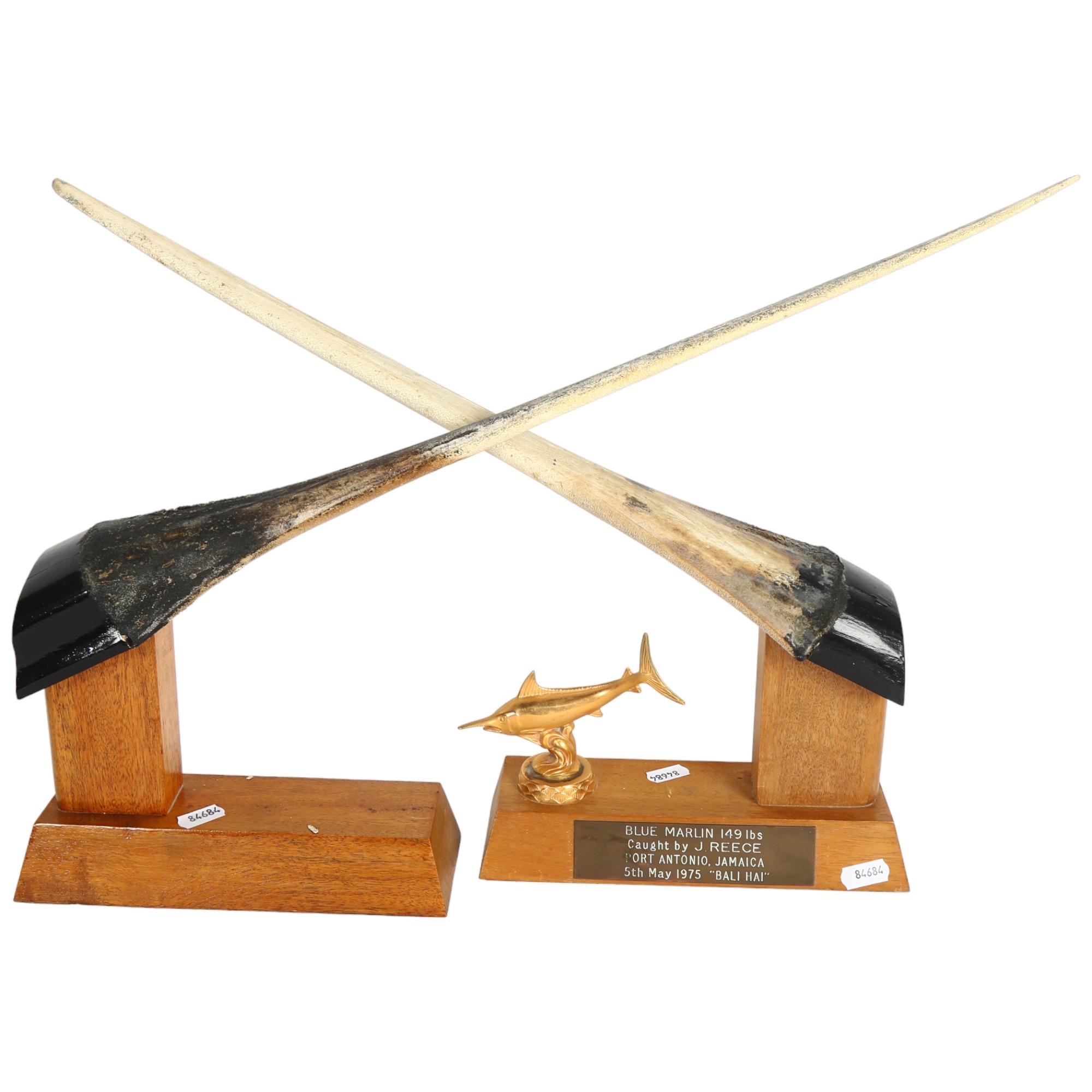 2 fishing trophies, blue marlin bills fixed to a wooden trophy base ...
