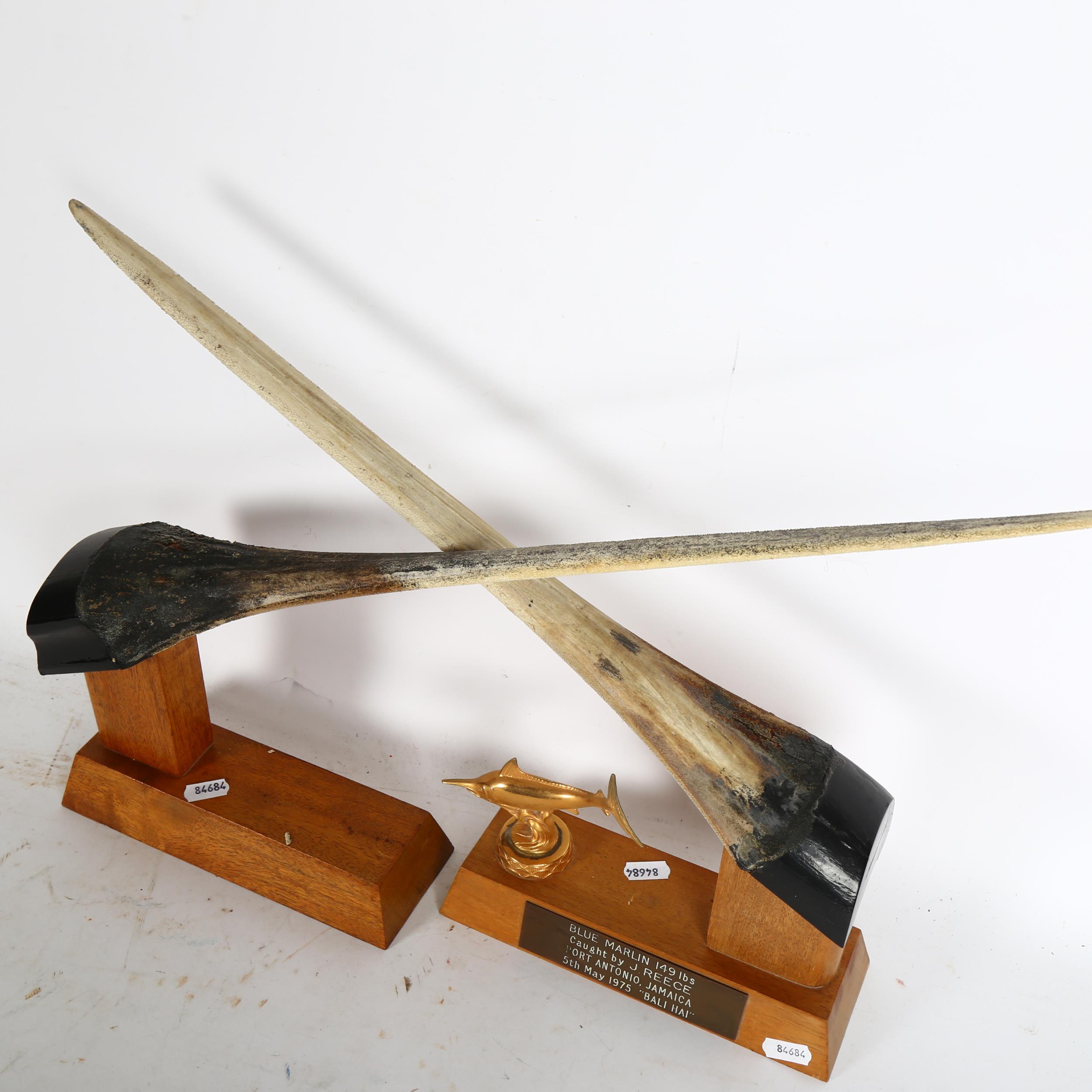 2 fishing trophies, blue marlin bills fixed to a wooden trophy base ...