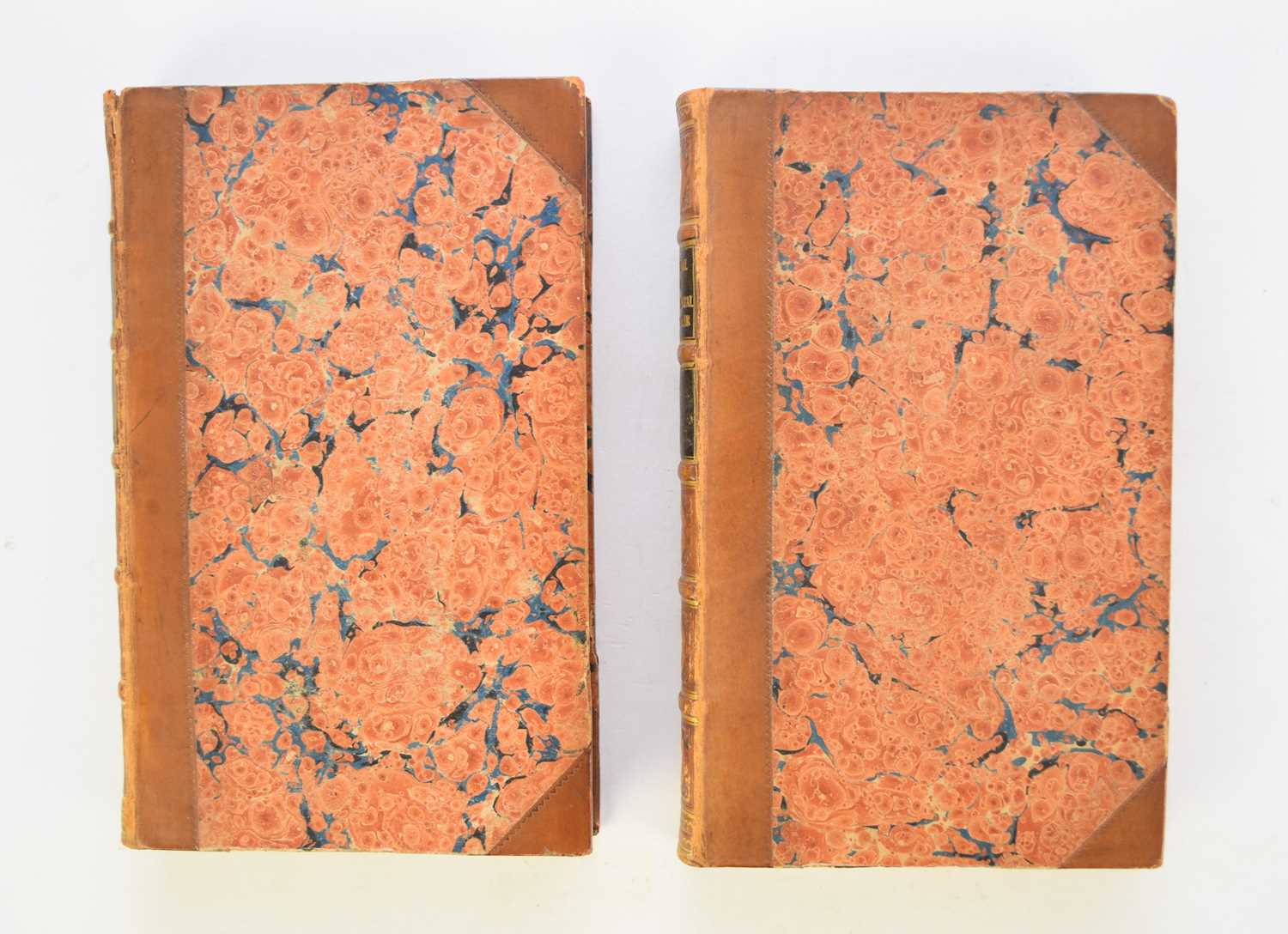HOGG, Thomas Jefferson, Two Hundred and Nine Days; or the Journal of a ...