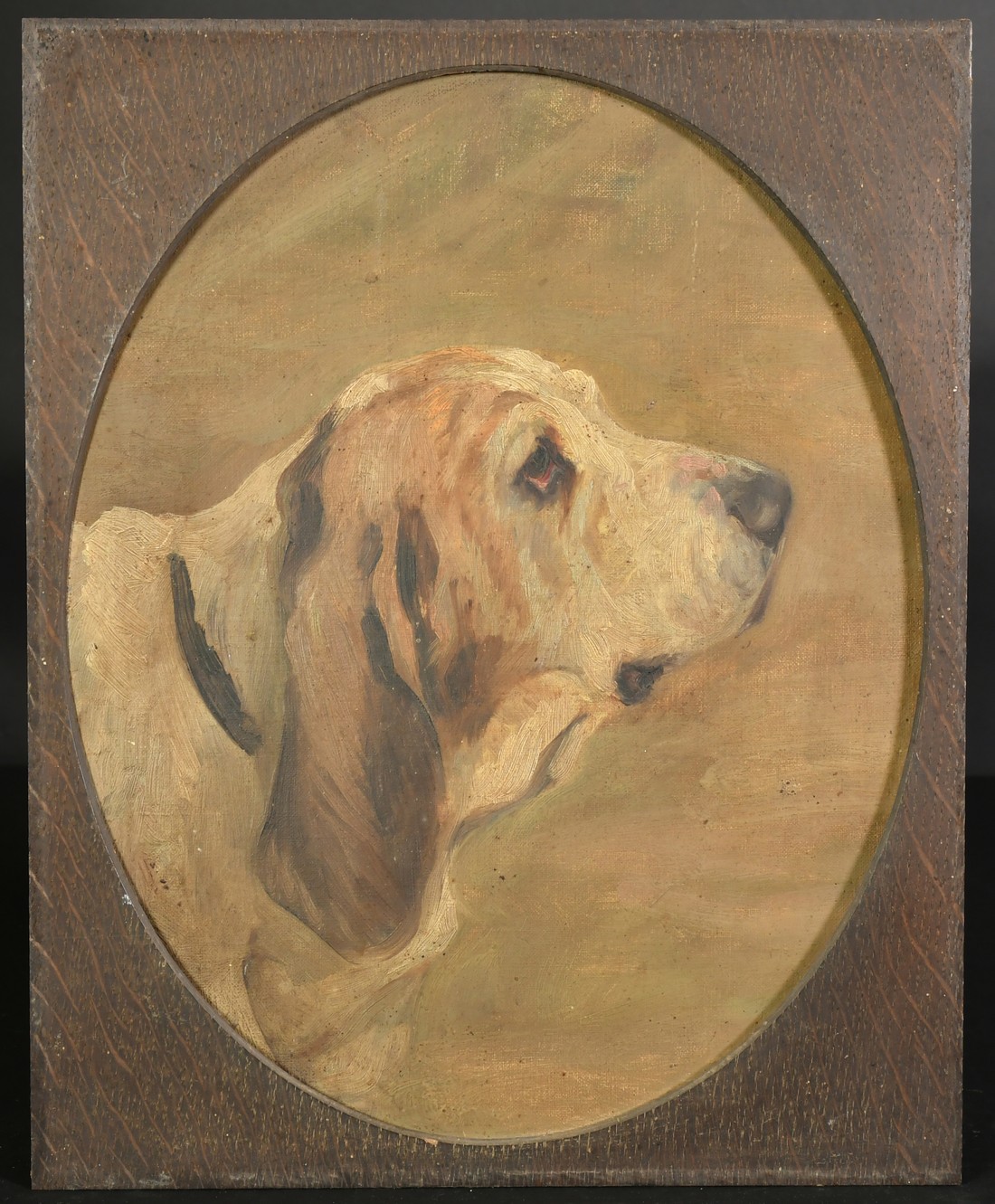 George Vernon Stokes (1873-1954), head study of a Basset Hound, oil on ...