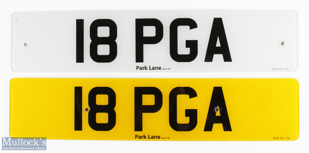 Rare UK Private Car Registration No. Plate "18 PGA" - c/w full ...