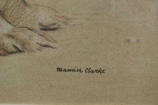 Maurice Clarke (1875-?) charcoal and pastel - Pekingese, signed, 31cm x ...