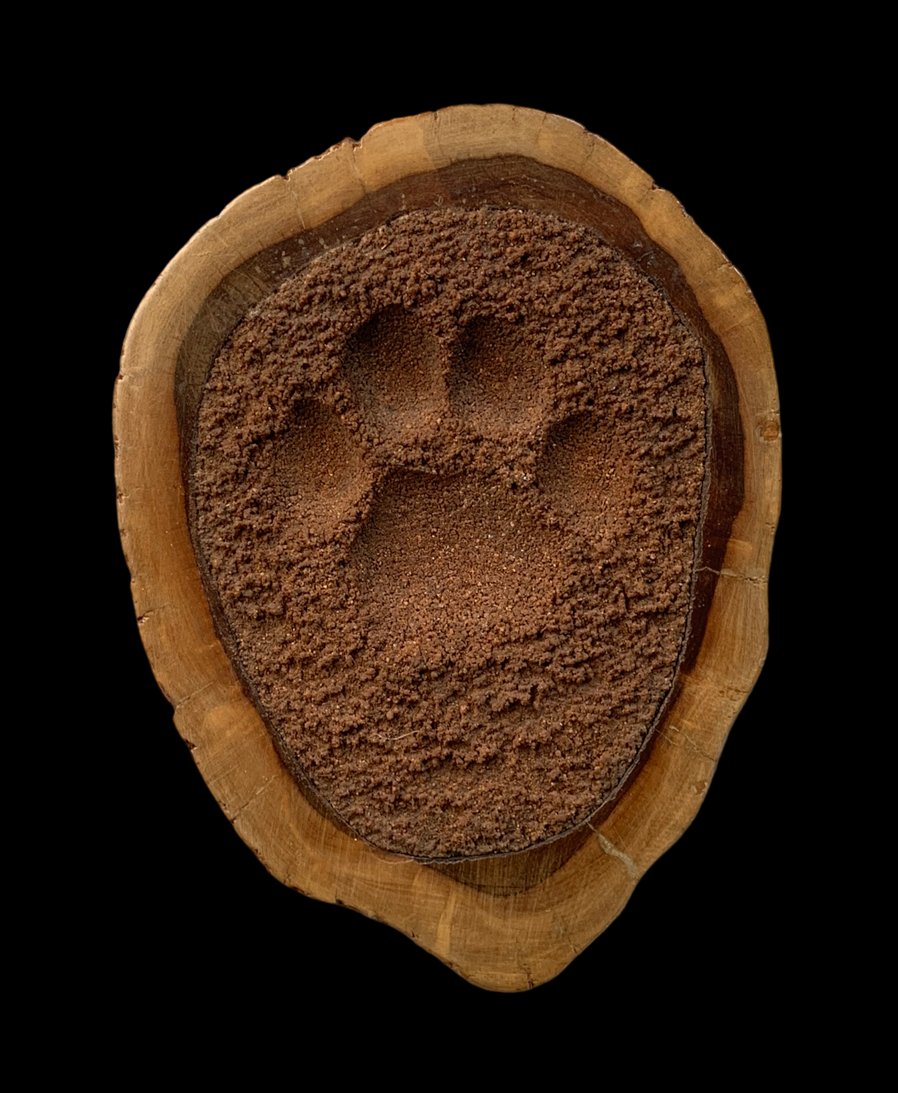 A UNIQUE LEOPARD PUG (FOOTPRINT) MOUNTED IN A POLISHED WOODEN PLINTH ...