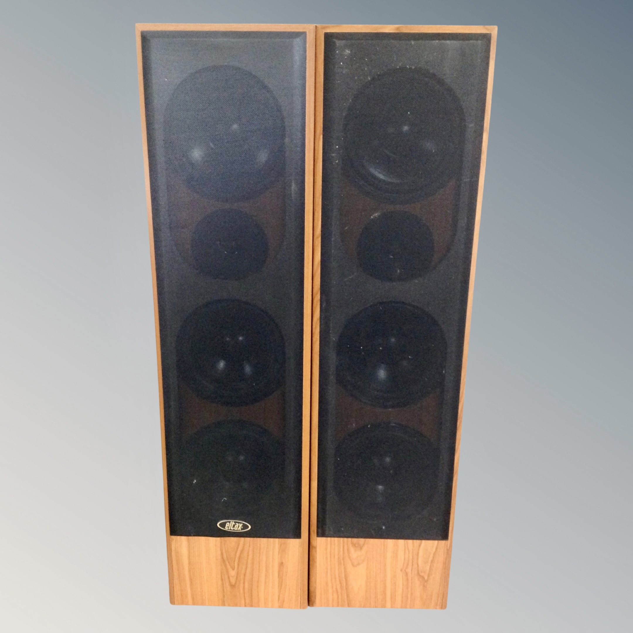 A pair of Eltax Century 300 tower speakers.
