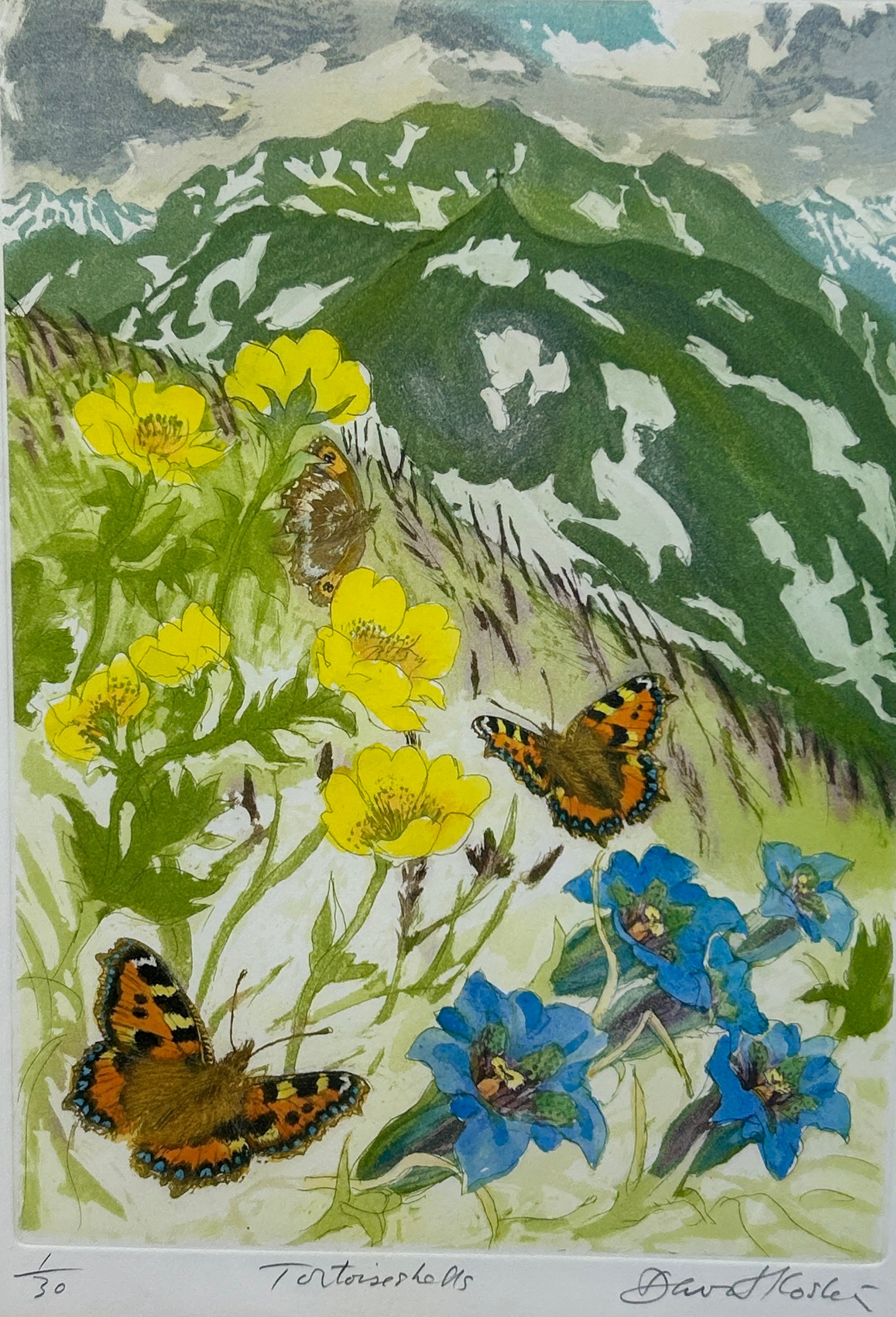 DAVID KOSTER (1926-2014) limited edition lithograph of Tortoiseshell ...