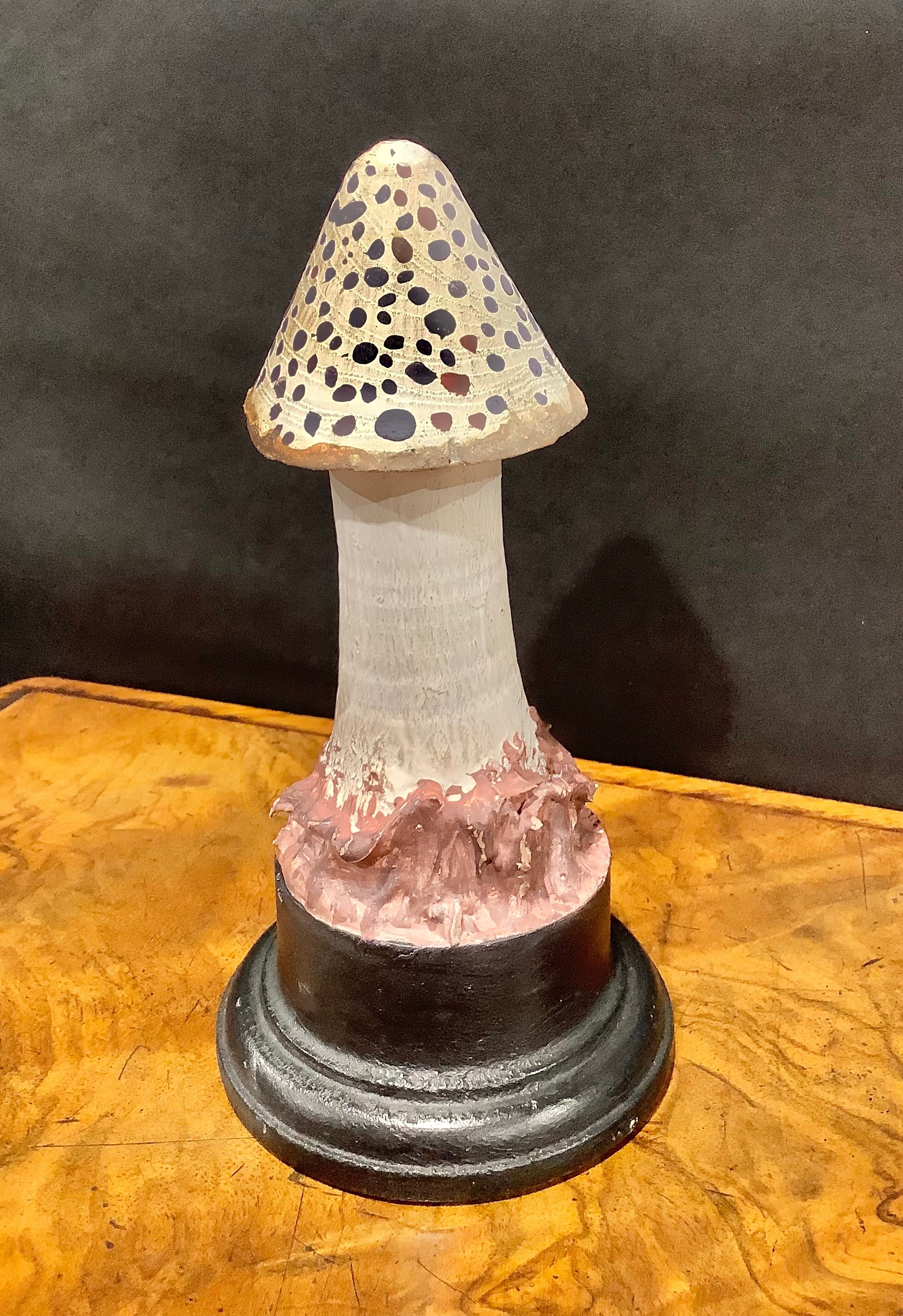 Natural History - Mycology - a painted model of fungus specimen ...