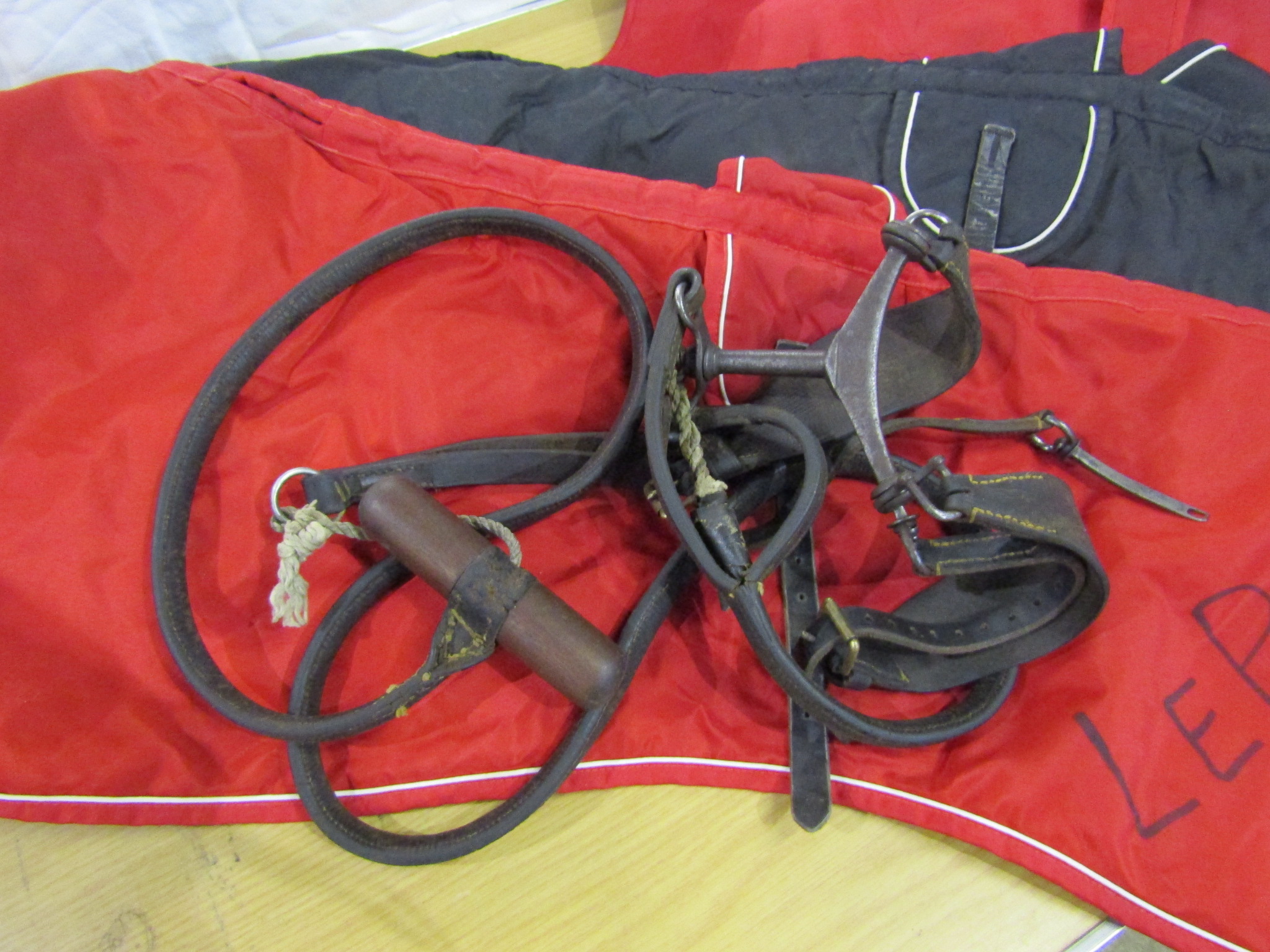 Greyhound coats and leather double quick release coursing slip lead