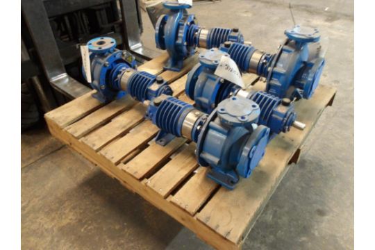 (5) TruFlo Pumps; (2) 2x3, (3) 1-1/2x3