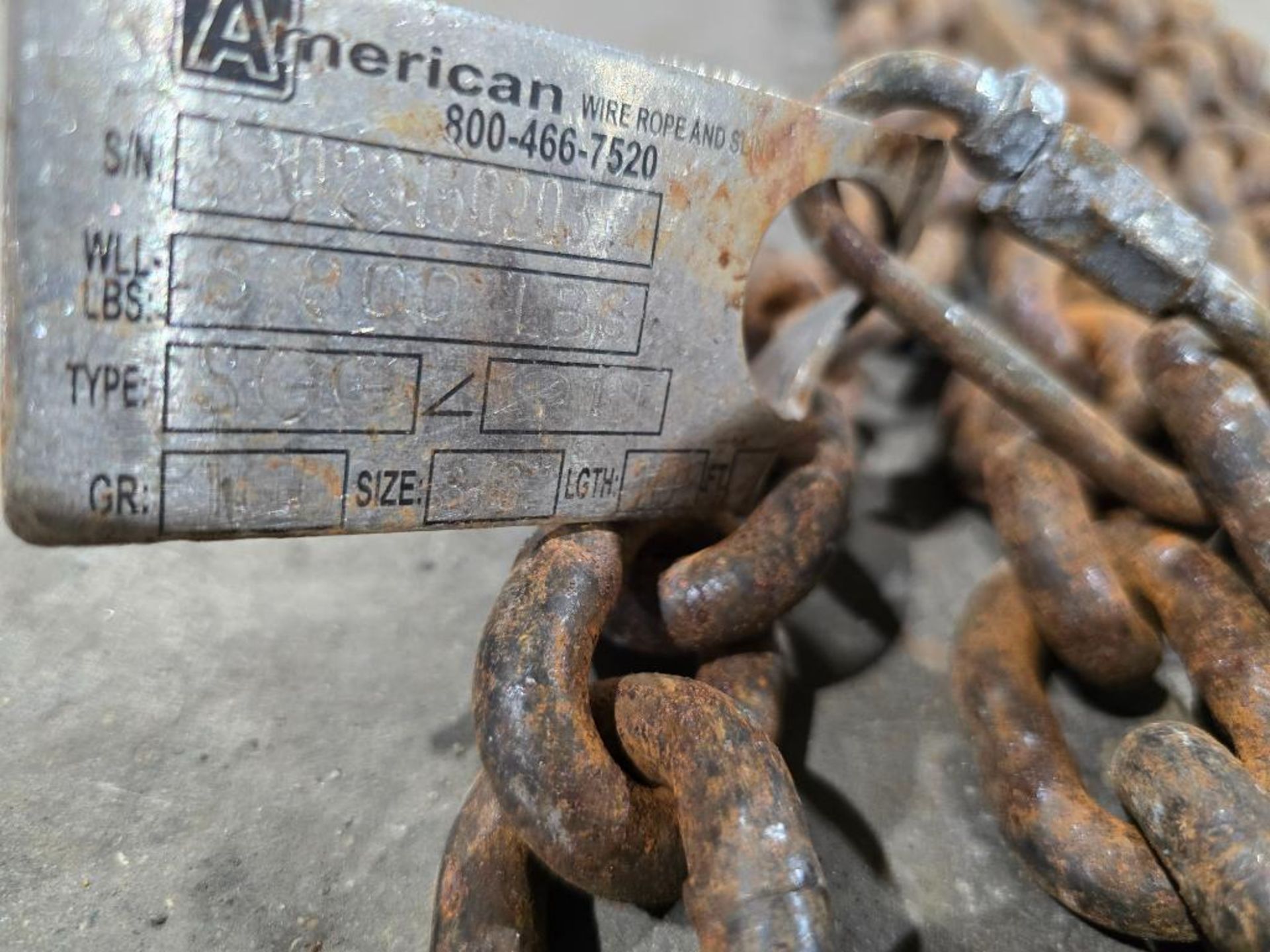 (2) 10' 3/8" Double Hook Chains