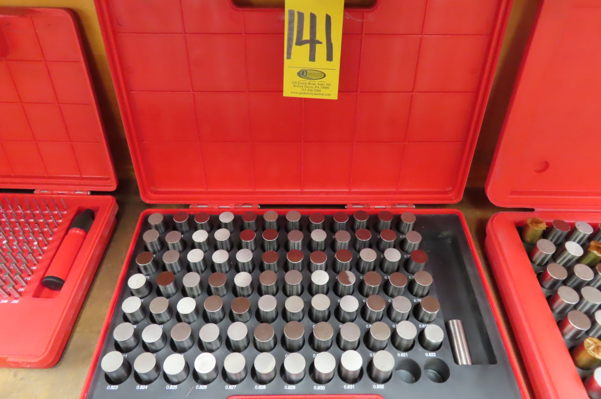 M5 MINUS PIN GAGE SET, 0.751 - 0.832 IN.