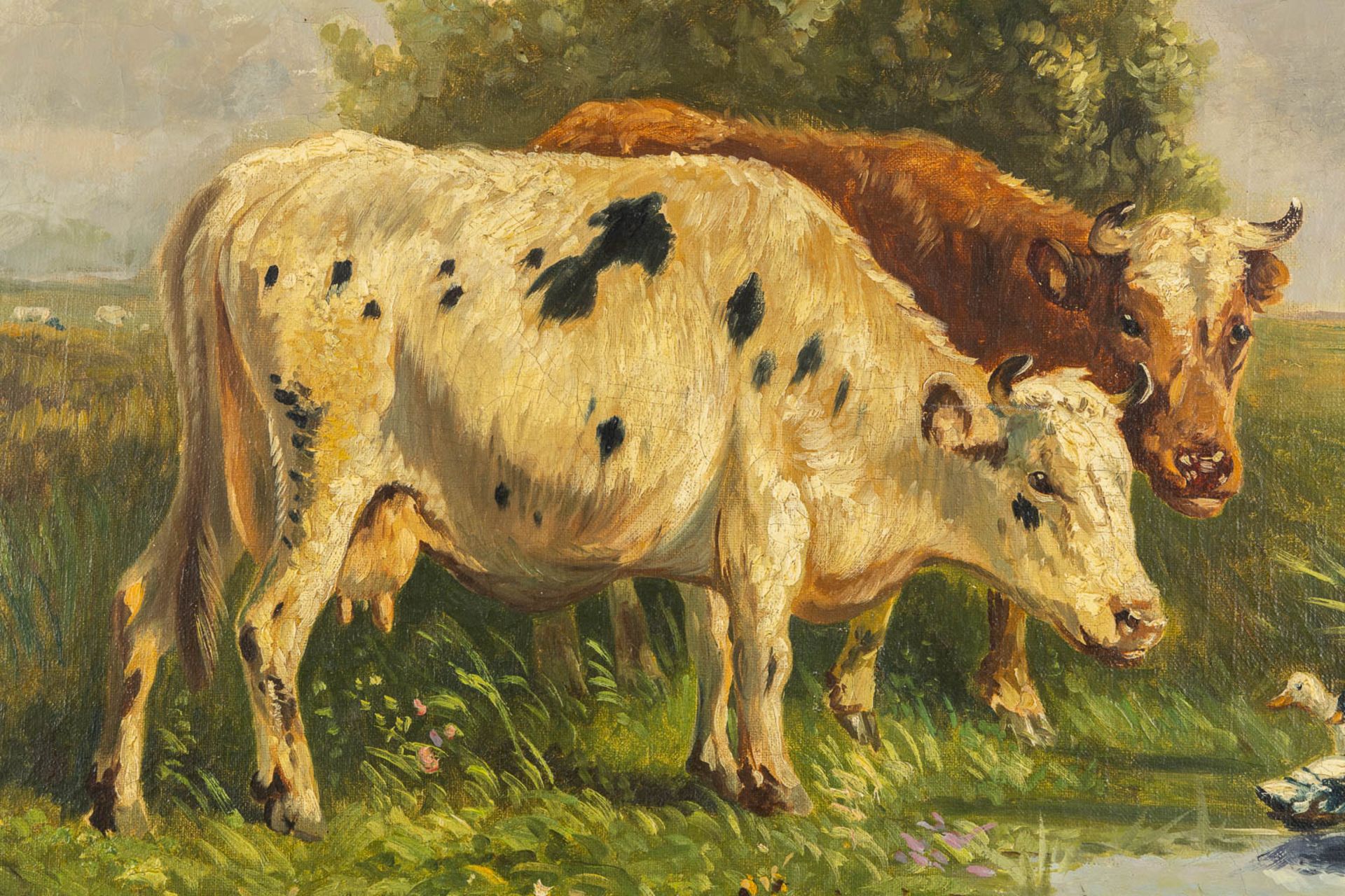 Paul SCHOUTEN (1860-1922) 'Drinking Cows' oil on canvas. Signed lower ...