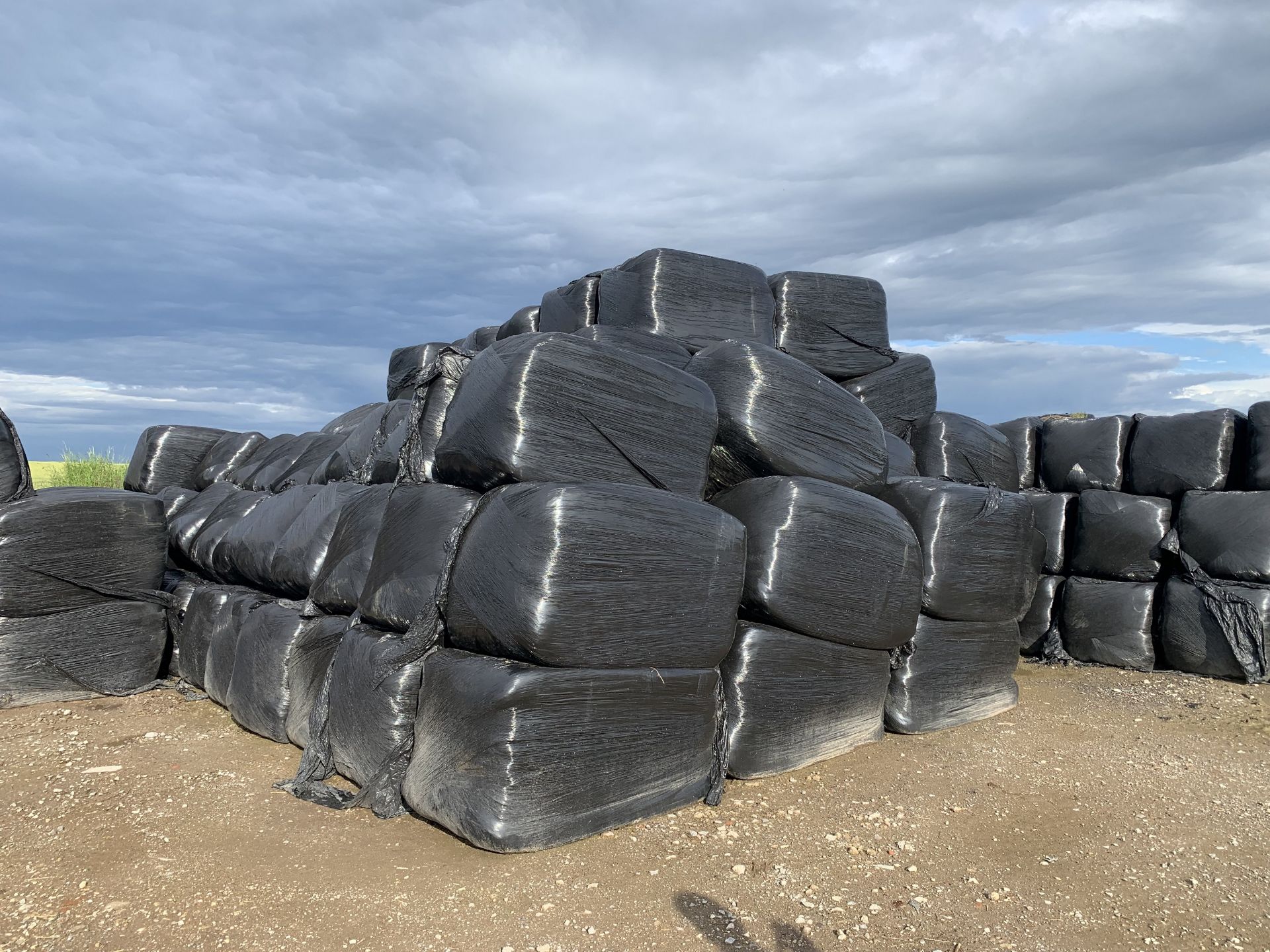 10 bales of 2024 first year first cut lucerne silage, 5' mini hestons ...