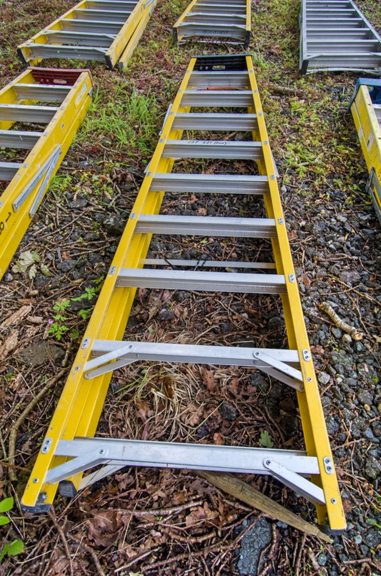 Lyte 10 tread glass fibre framed step ladder