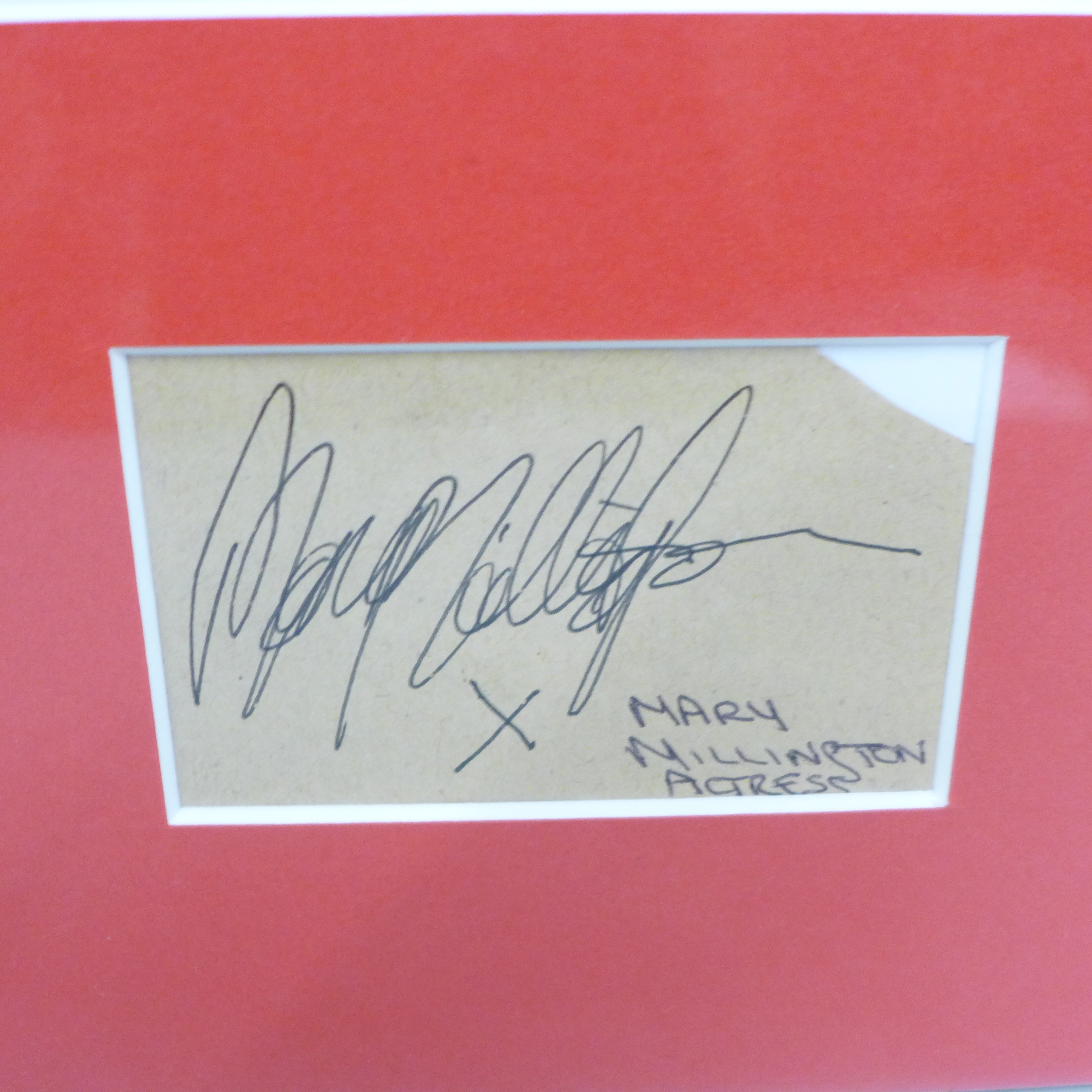 A Mary Millington signed display
