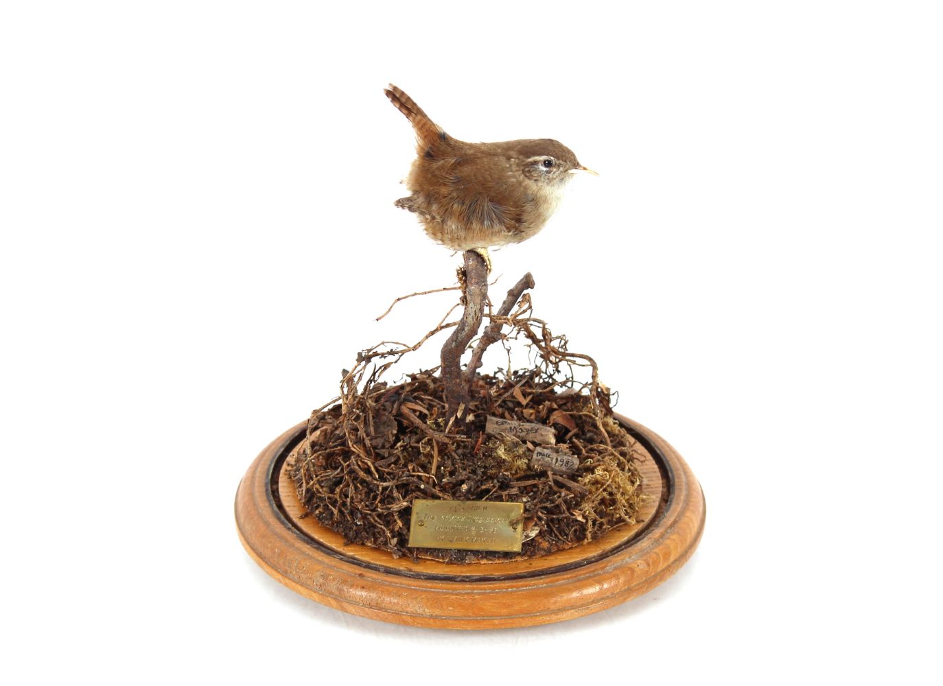 the-saleroom | Live online auctions site | Collectables & Antiques