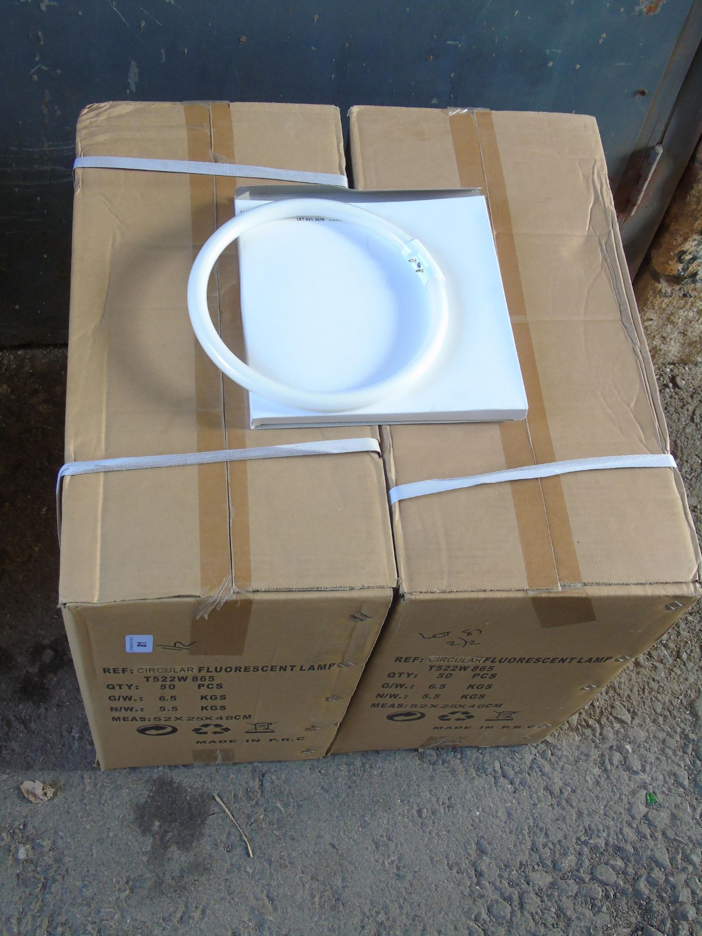 2 x boxes of 50 2GX13 22w T5 Daylight White Circular bulbs - 100 lamps