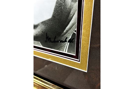 Muhammad Ali Signed Montage- Everlast signed Glove and Dipped Gold Face ...