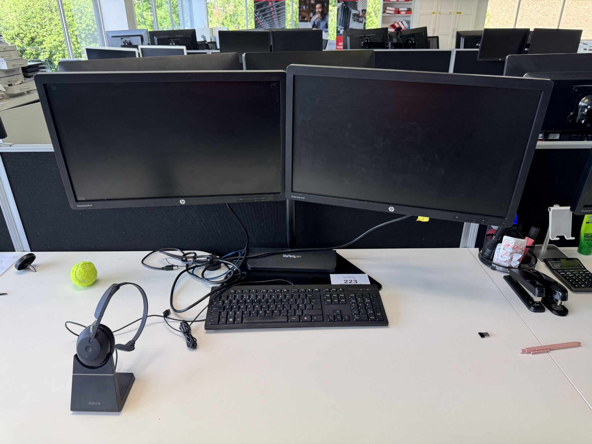2: HP Elite E231 Flat Panel Monitors Mounted on Startech ARMBARDUO ...