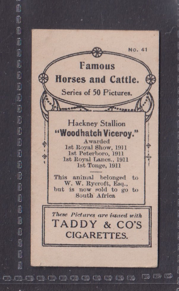 Cigarette card, Taddy, Famous Horses & Cattle, type card, no 41 ...