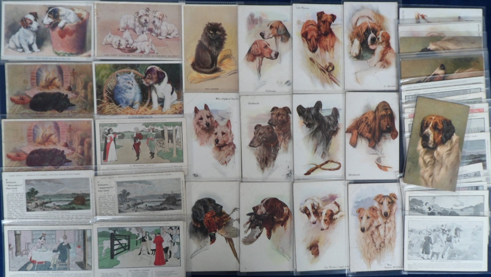 Postcards, Animals, a collection of 76 cards to comprise Florence ...