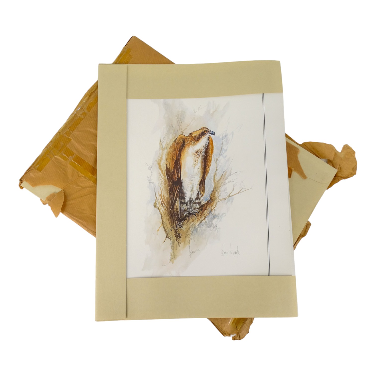 # Ben MAILE (British 1922-2017) A Folio of Four Wildlife Studies ...
