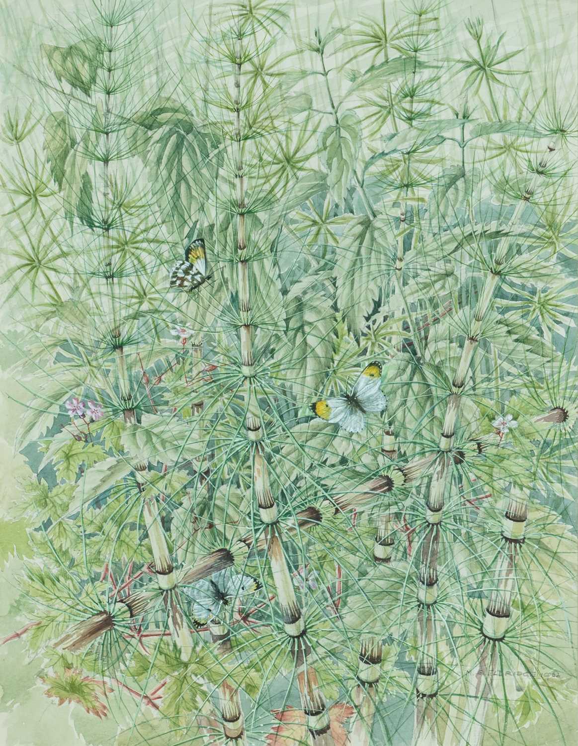 MILDRED ELSI ELDRIDGE (1909-1991) watercolour - entitled verso, 'Orange ...