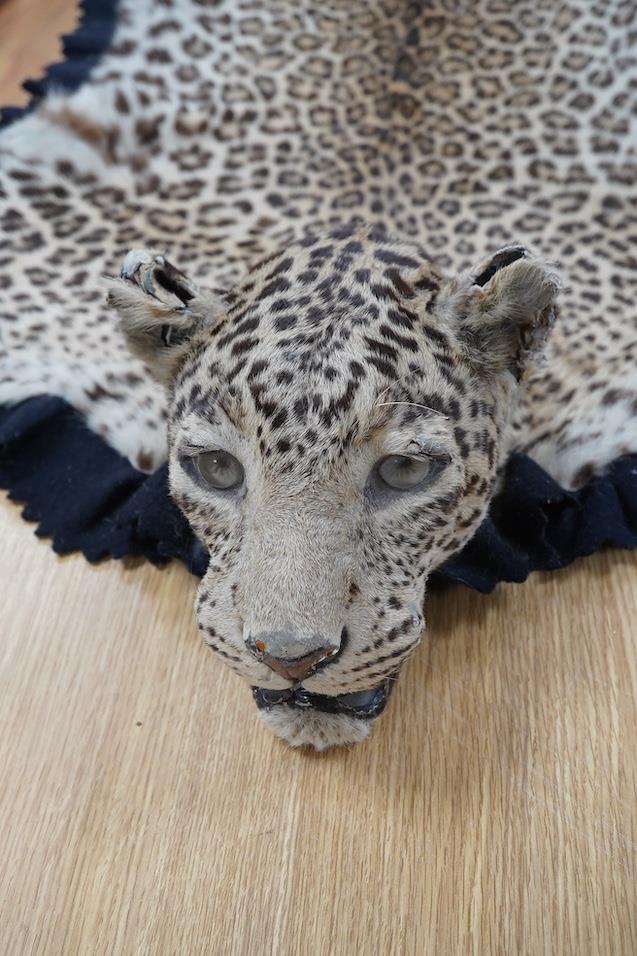An early 20th century leopard skin rug with taxidermy head by van Ingen ...