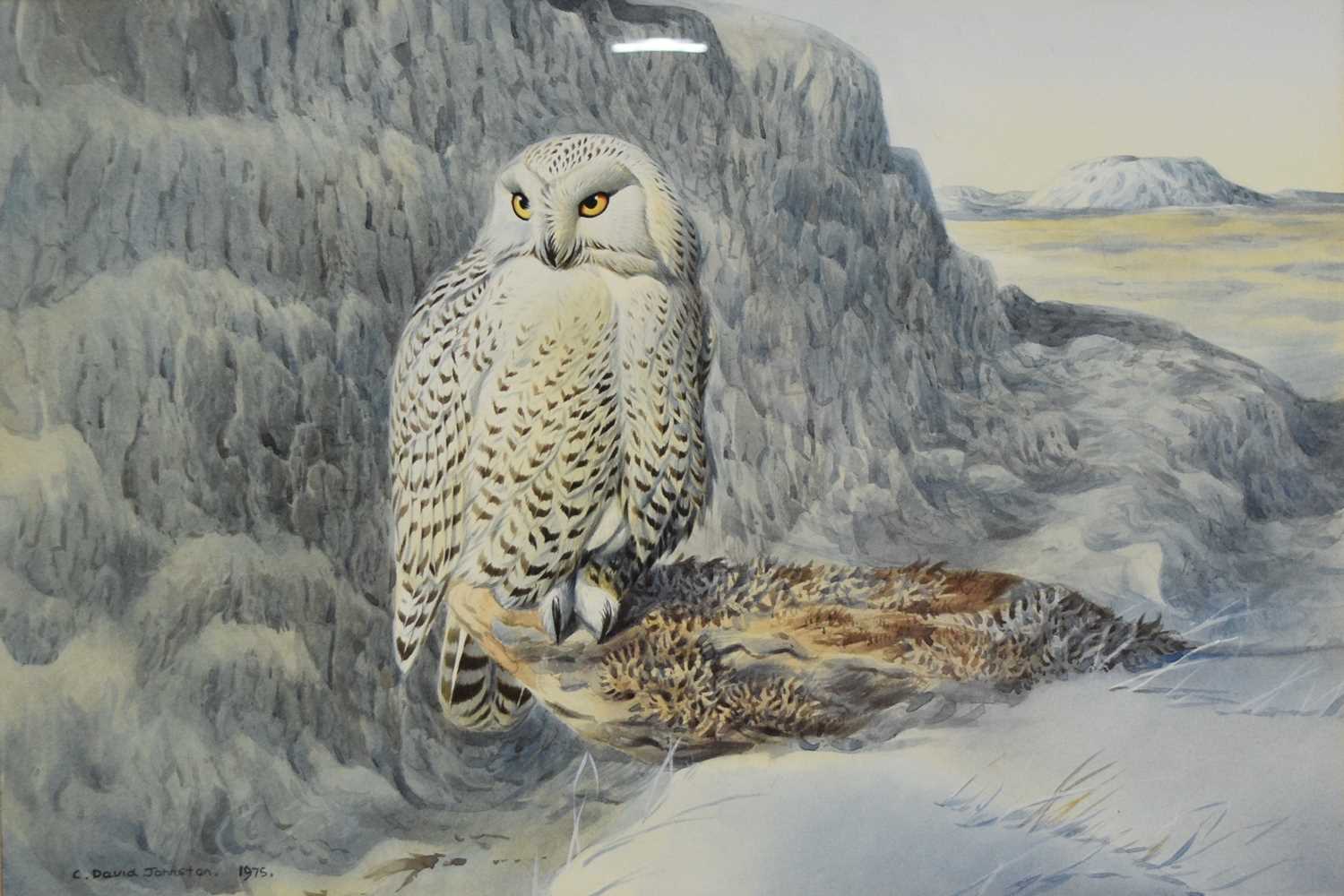 Cyril David Johnston (b.1946) Snowy Owl, in a Mountainous Winter ...