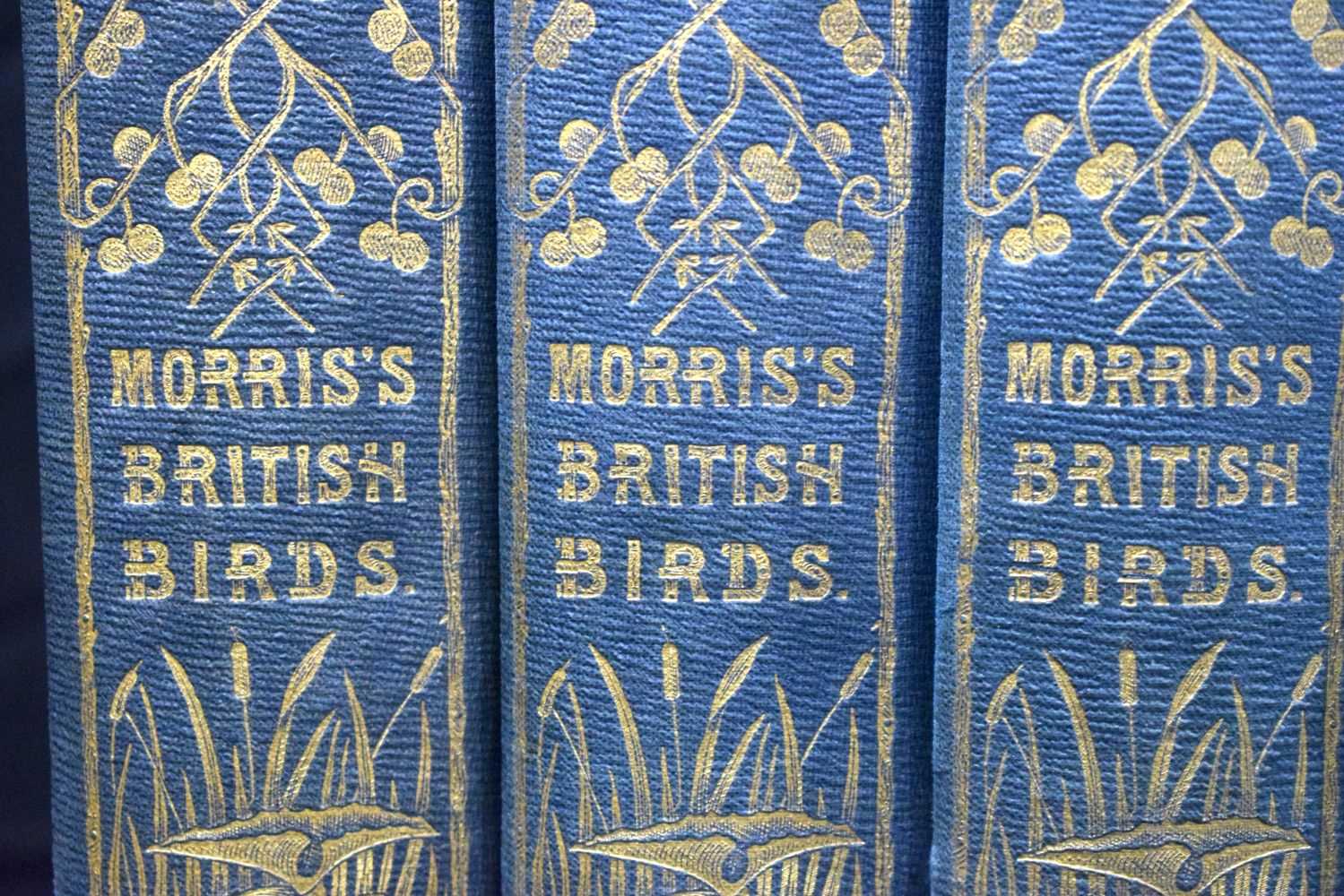 Books Morris British Birds by Rev F O Morris B A Second Edition 6 ...