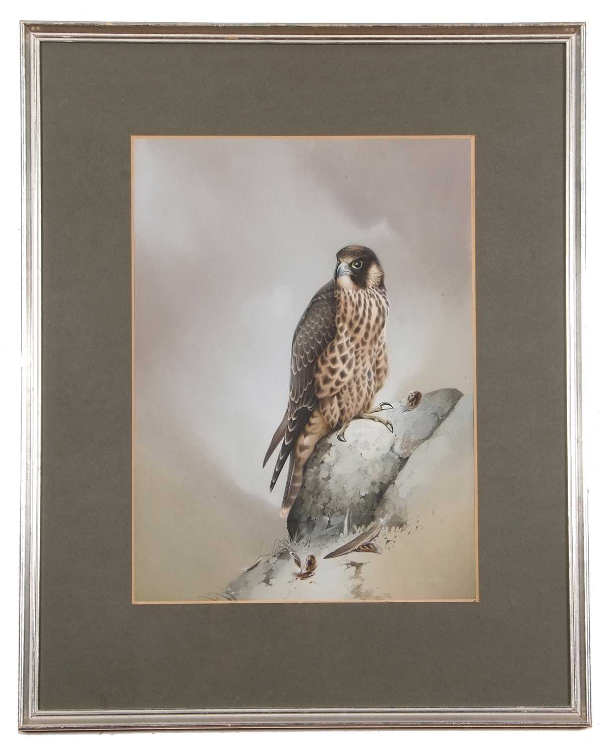 Raymond Watson (1935-1994), 'Sparrow Hawk', gouache on board, signed ...